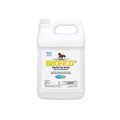 BRONCO - 3.8 L
