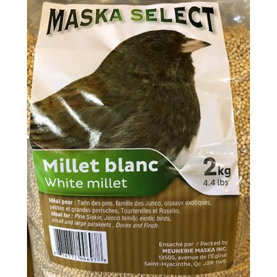 MS - MILLET BLANC - 4.4 LB